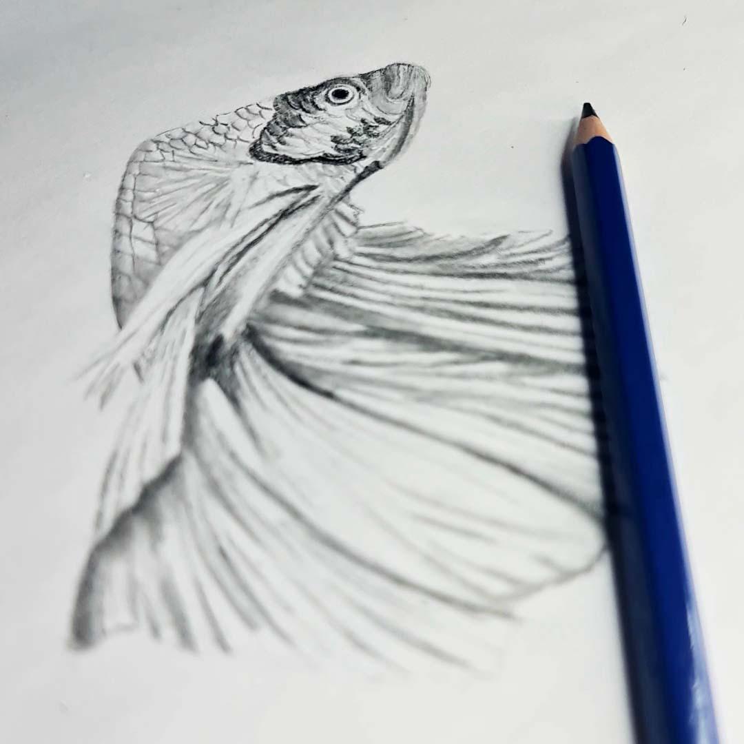 Dibujo De Luz Y Sombra La Importancia De La Luz Y La Sombra En El